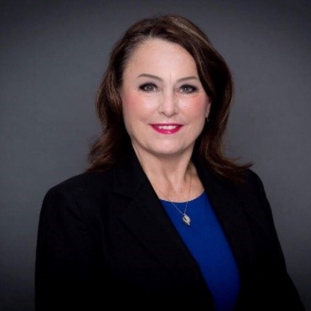 Domestic Violence: Training Lawyers and Judges to better handle cases ...